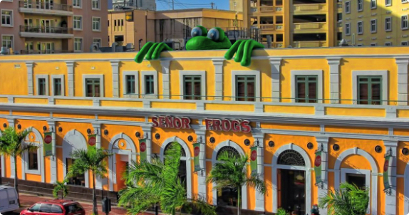 Señor Frog's - Señor Frog's