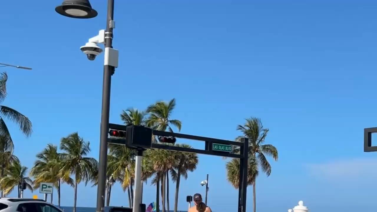 Señor Frog's Fort Lauderdale - Mexican Restaurant & Fiesta | Grupo ...